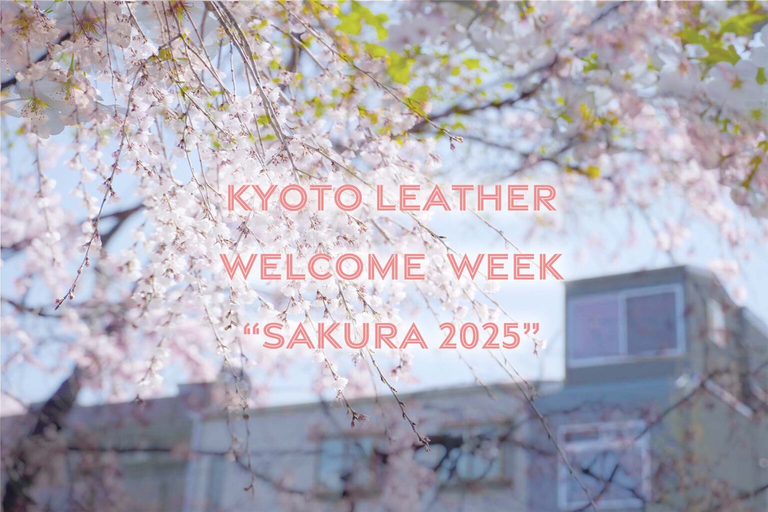 KYOTO Leather Welcome Week 2025 Sakura - 京都レザー - KYOTO Leather